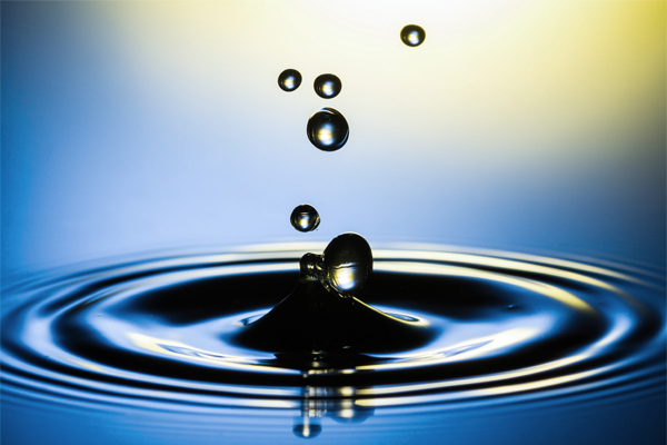 Francisco Balduzzi, Phyllis Guillory & Christé Spiers to Take Part in ...