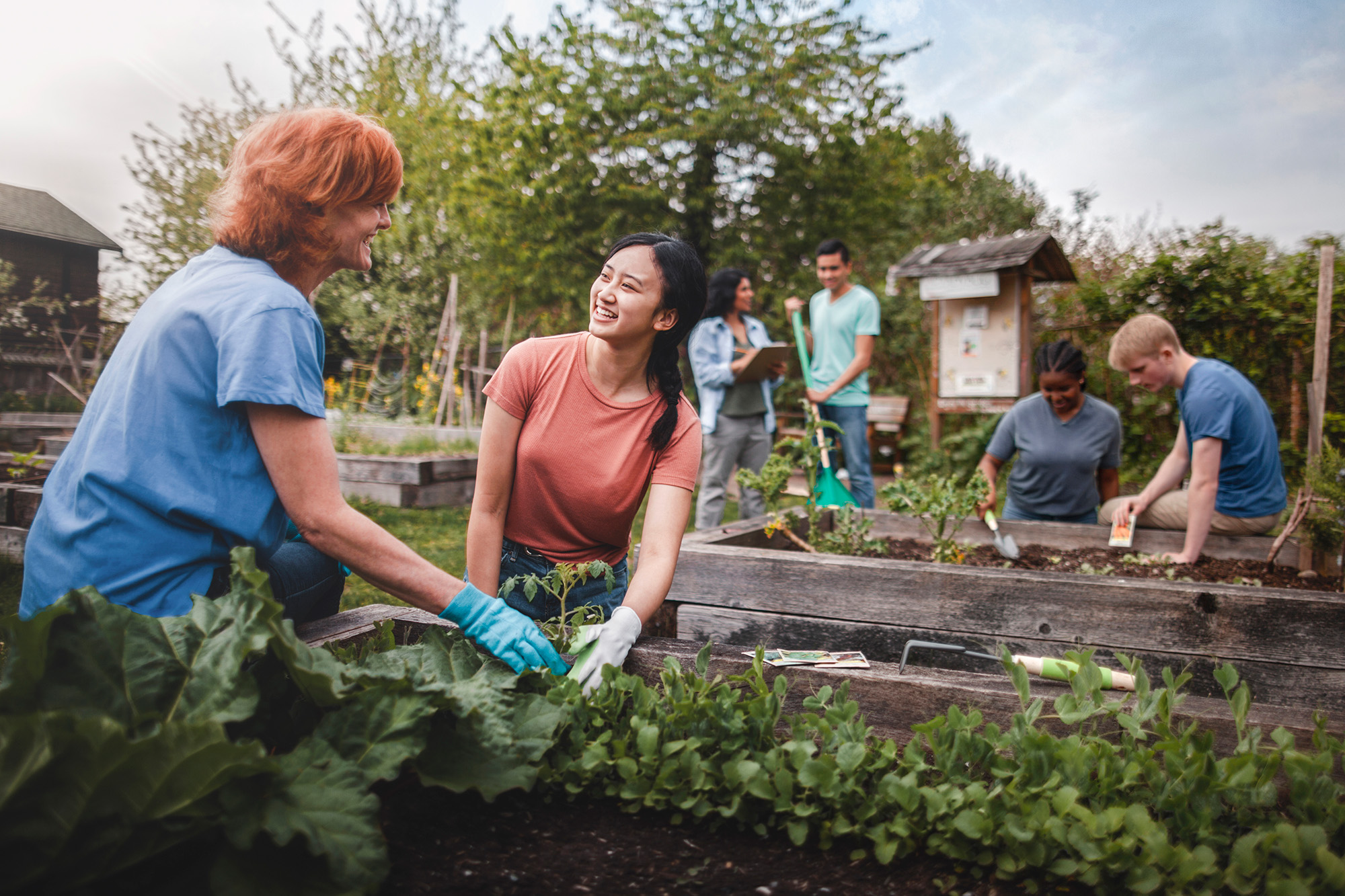 Charities Act 2022 - what are the latest changes? | Womble Bond Dickinson