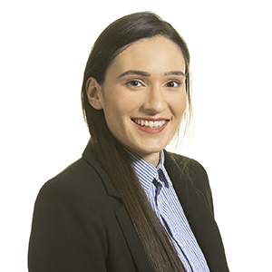 Force majeure: understanding the Supreme Court's stance on 'reasonable ...