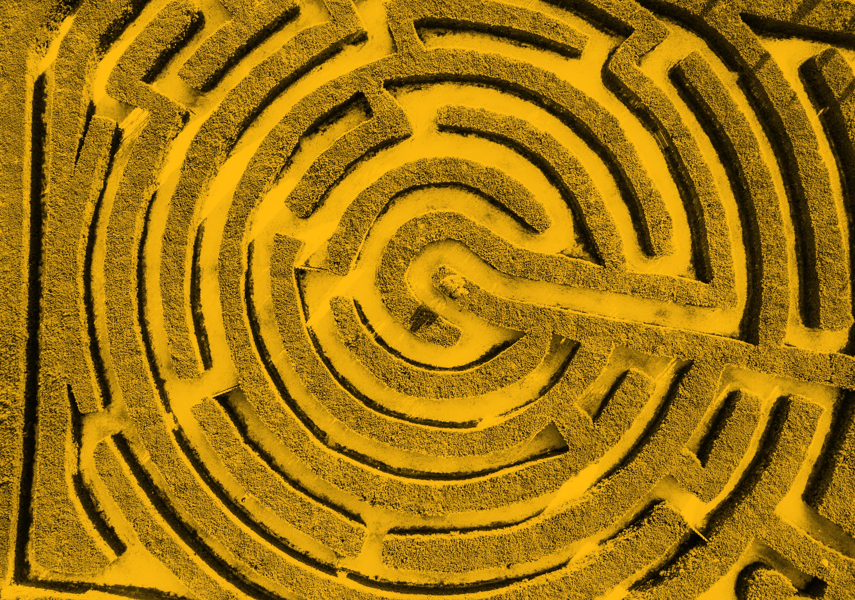 Autumn Budget 2024: what does it mean for charities? | Womble Bond ...