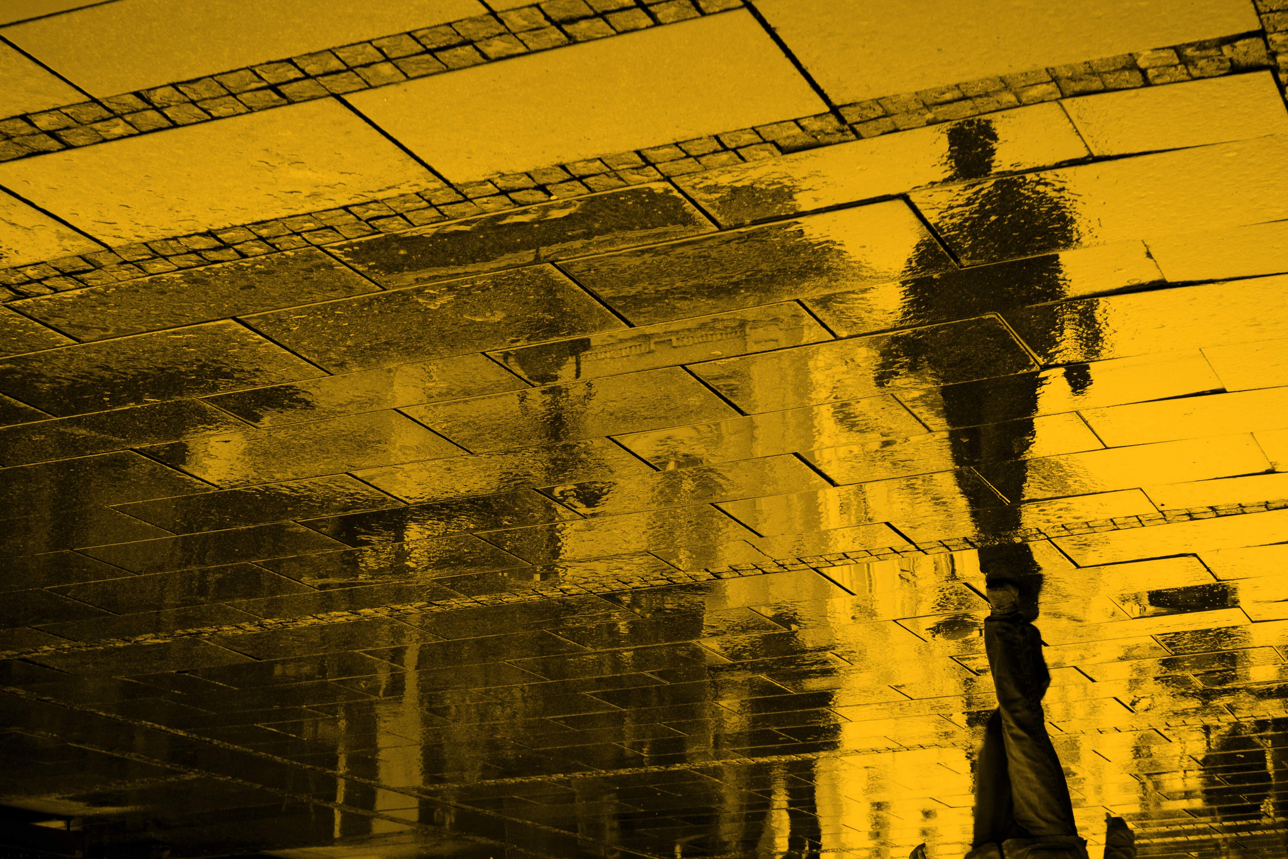 Litigation Lawyer Joins Lewis Roca in Denver | Womble Bond Dickinson