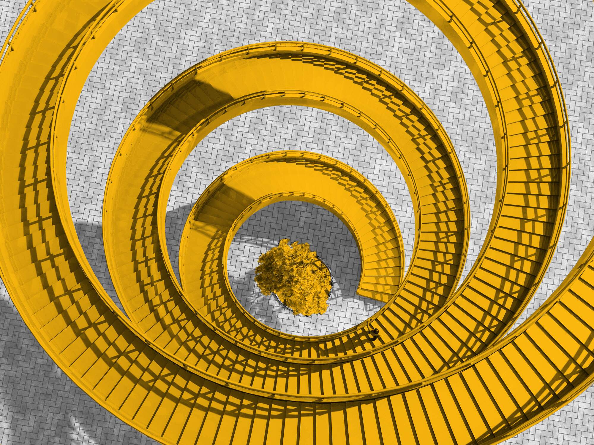 Lewis Roca Welcomes Esteemed Appellate Lawyer to Denver Office | Womble ...