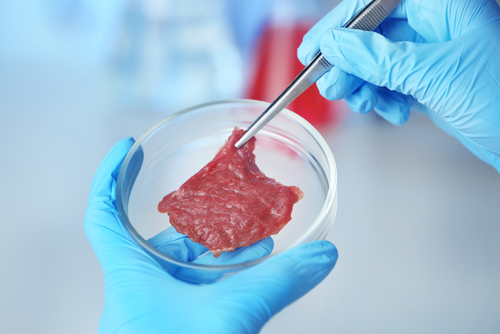 Financing Headwinds and the Future of Cell Cultivated Meat | Womble ...