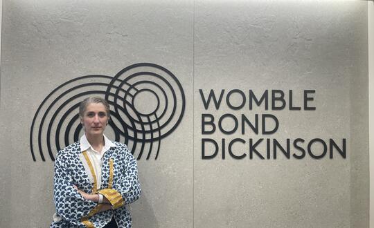 Houston Office Welcomes Artist Farima Fooladi for March Sweet Talks ...