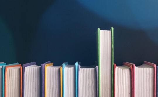 Tara Cho Pens Essay for Her Story: The Resilient Woman Lawyer's Guide ...